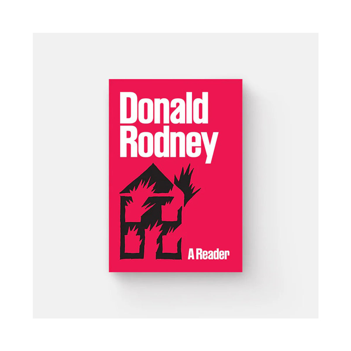 Donald Rodney: A Reader – Shop Contemporary